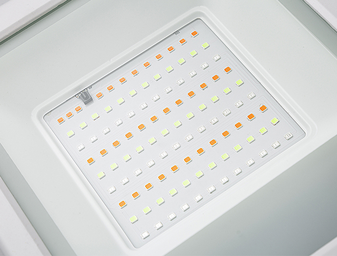 Cost-effective LED Flood Light | Anern